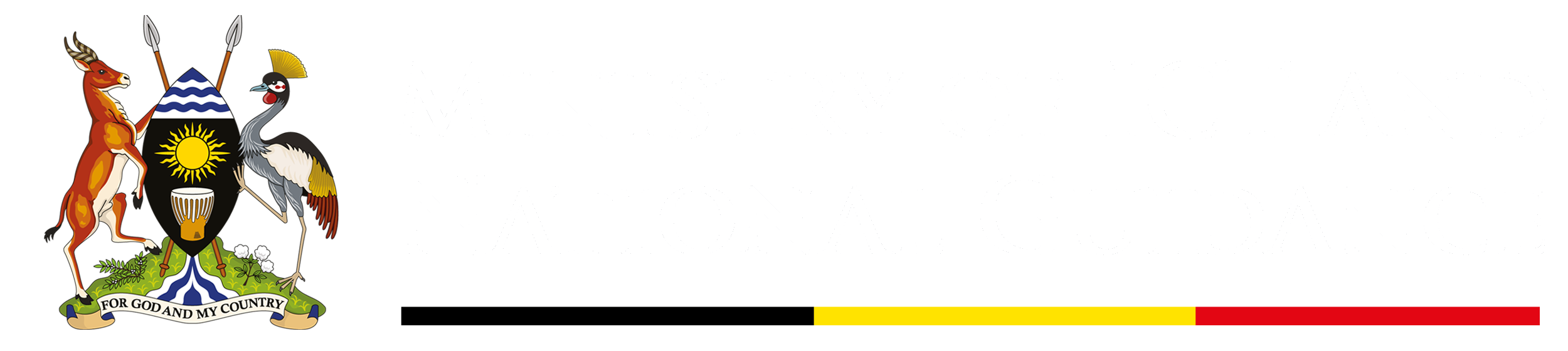 Ministry of ICT and National Guidance